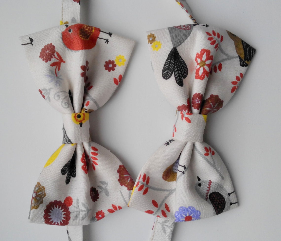 Birds Bow Tie and Suspenders. Bow Tie With Birds. Tropical Bow - Etsy