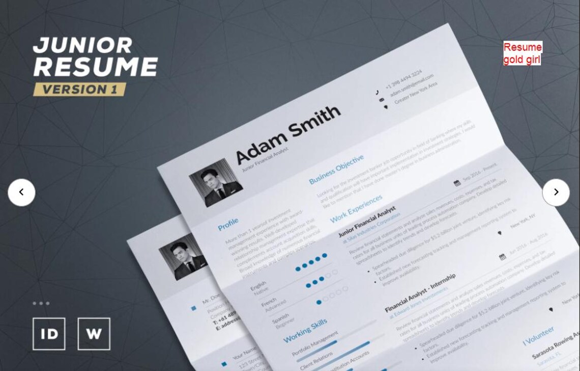Clean Infographic Classy Resume Template – ATS Friendly CV Template ...