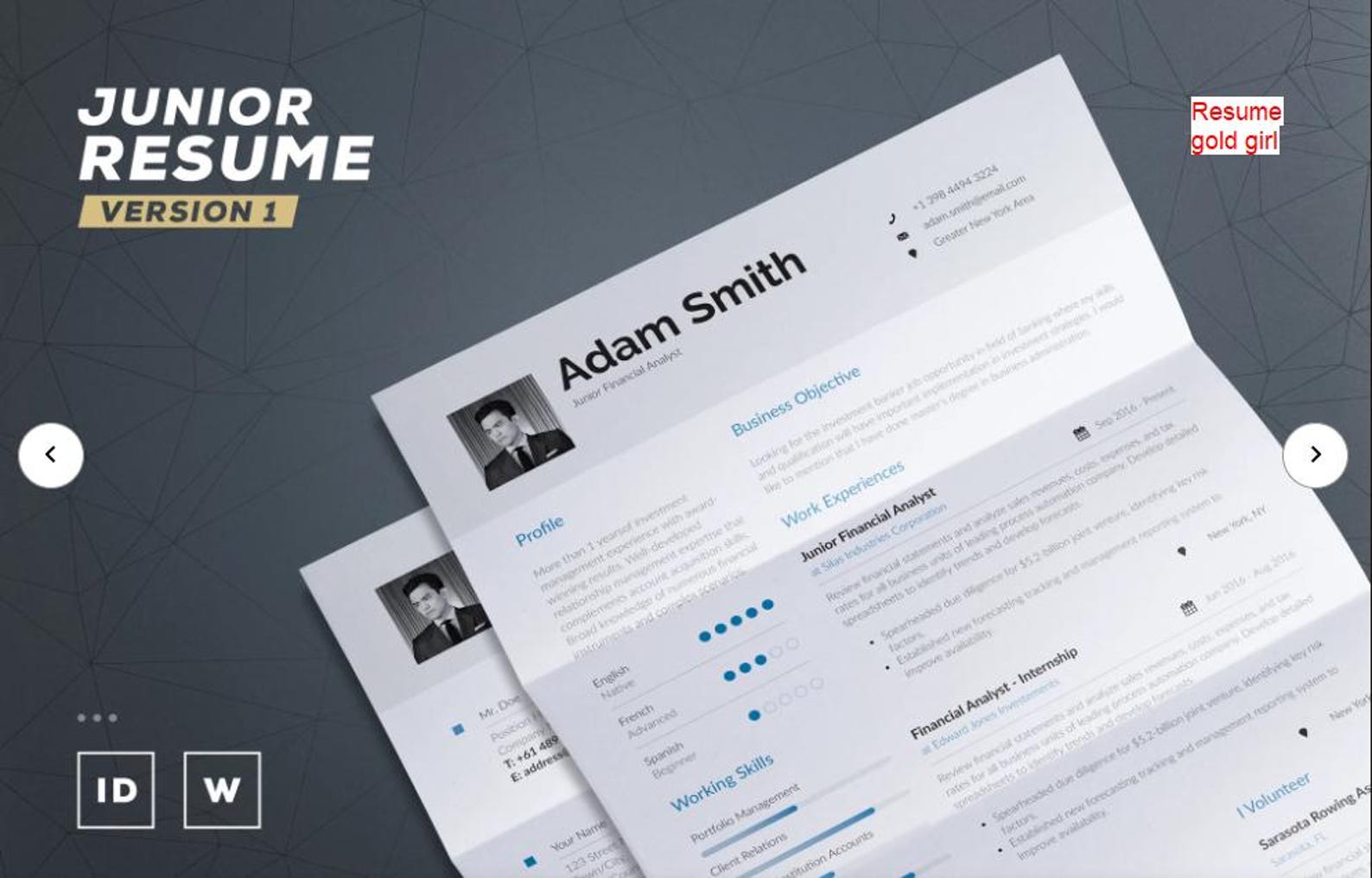 Clean Infographic Classy Resume Template – ATS Friendly CV Template ...