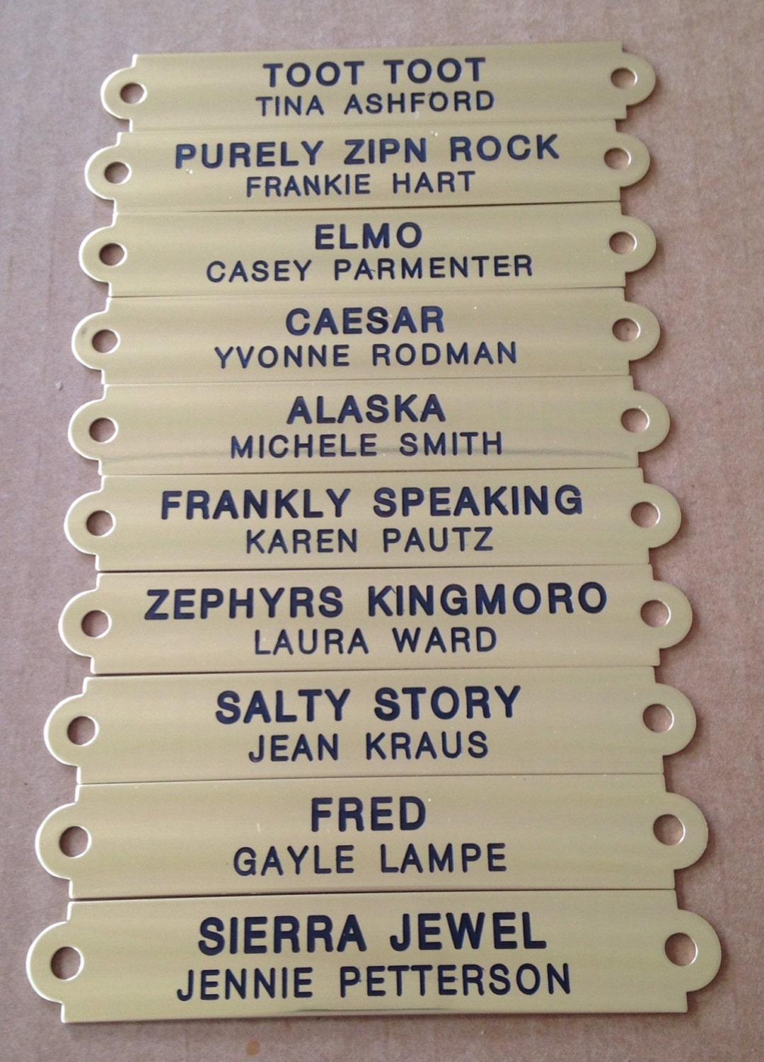 Custom Brass Halter Plate: Engraved Horse Name Tag - Etsy