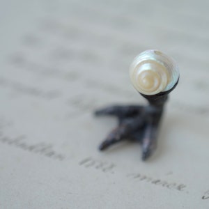 ANTIQUE Surrealist Sculpture Bronzed Tin Goose Foot With Mariner Shell ...