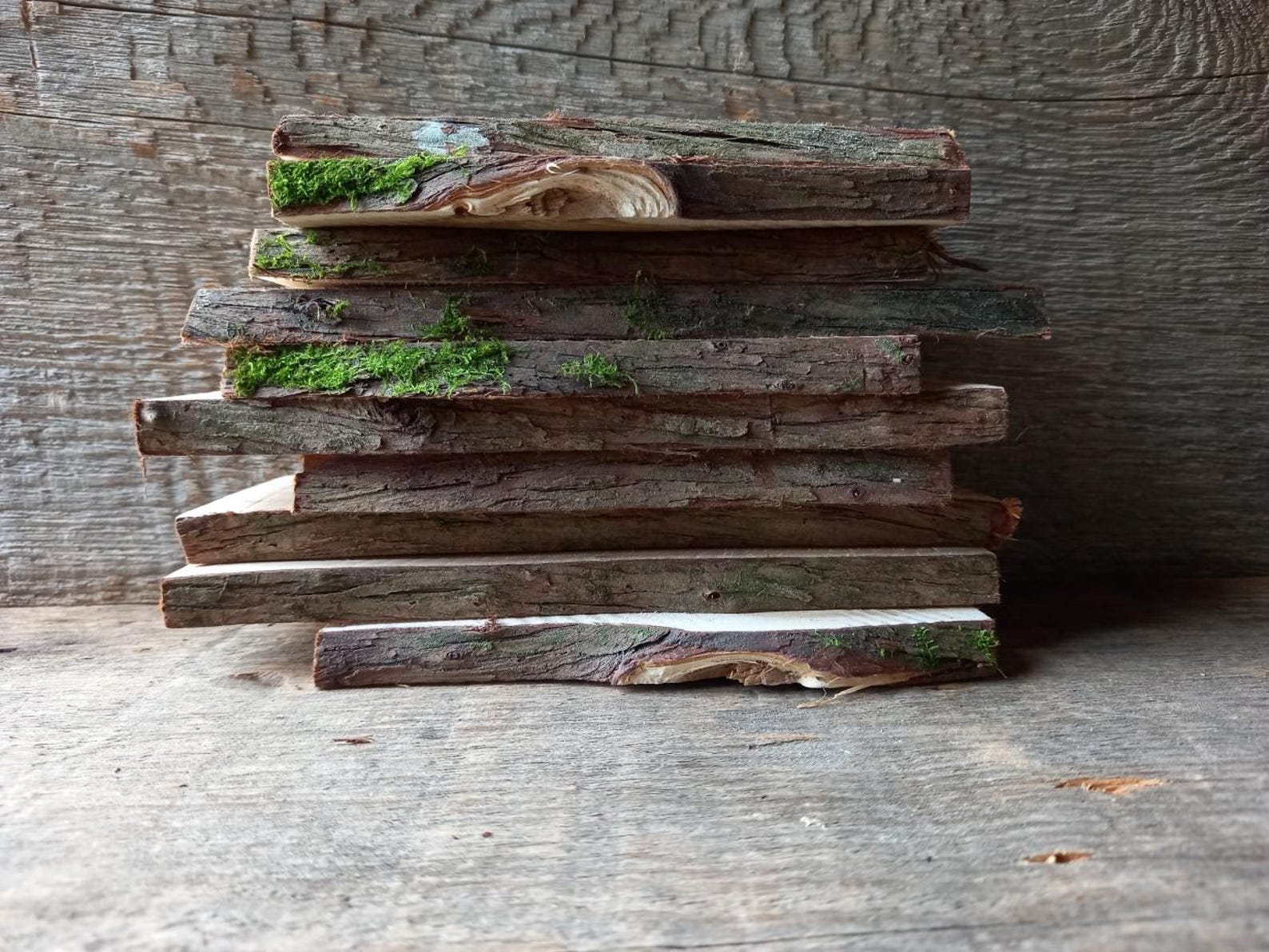Set of 10 Cypress Tree Long Slices,unfinished Wood Slices With Bark ...