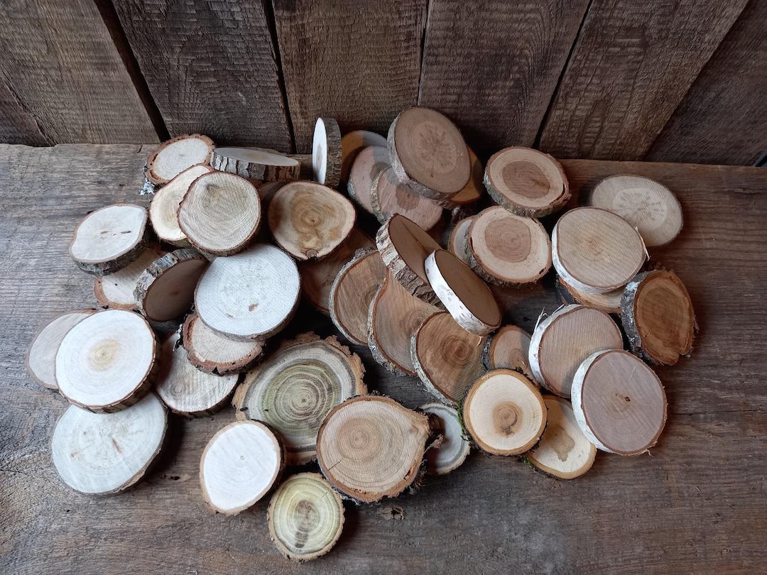 Set of 50 Mixed Tree Slices,unfinished Wood Slices With Bark,wooden ...