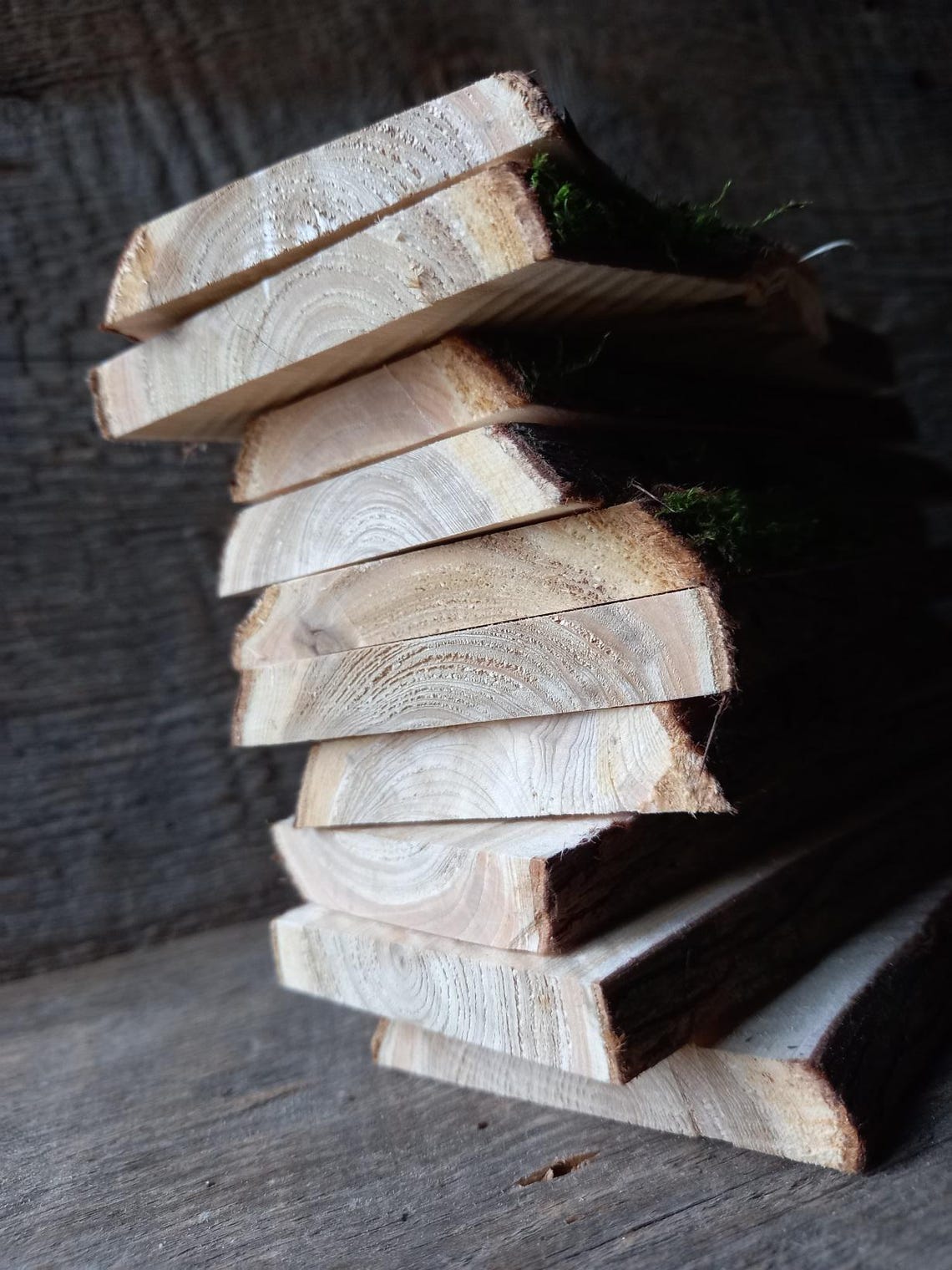 Set of 10 Cypress Tree Long Slices,unfinished Wood Slices With Bark ...