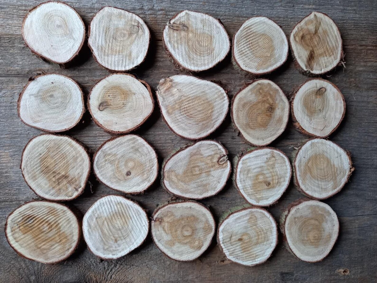 Set of 20 Cypress-tree Slices With Bark,unfinished Wood Slice With Bark ...