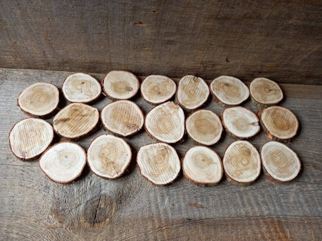 Set of 20 Cypress-tree Slices With Bark,unfinished Wood Slice With Bark ...