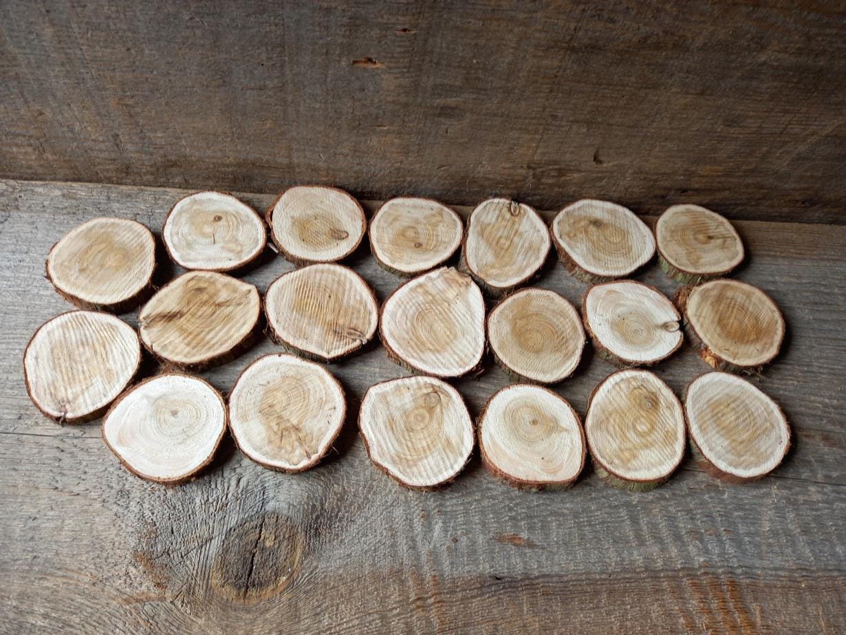 Set of 20 Cypress-tree Slices With Bark,unfinished Wood Slice With Bark ...