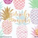 WATERCOLOUR PINEAPPLE CLIPART Commercial Use Clip Art Fun Tropical ...