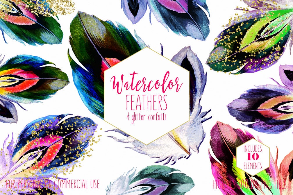 Bird Feather Clipart