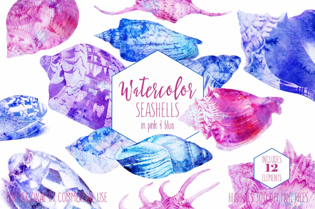 WATERCOLOR BEACH SHELLS Clipart Commercial Use Clip Art - Etsy