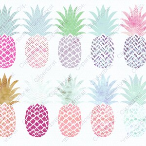WATERCOLOUR PINEAPPLE CLIPART Commercial Use Clip Art Fun Tropical ...