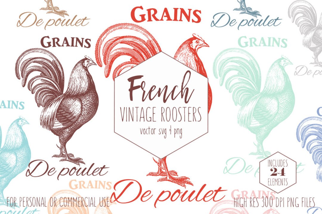 FRENCH ROOSTER CLIPART for Commercial Use Rustic Farm Animal - Etsy