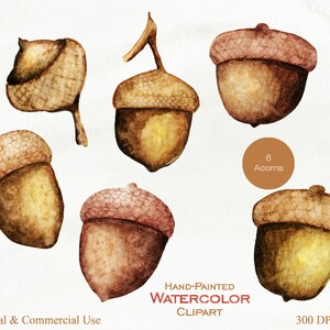WATERCOLOR ACORNS Clipart Commercial Use Clip Art Autumn Fall - Etsy