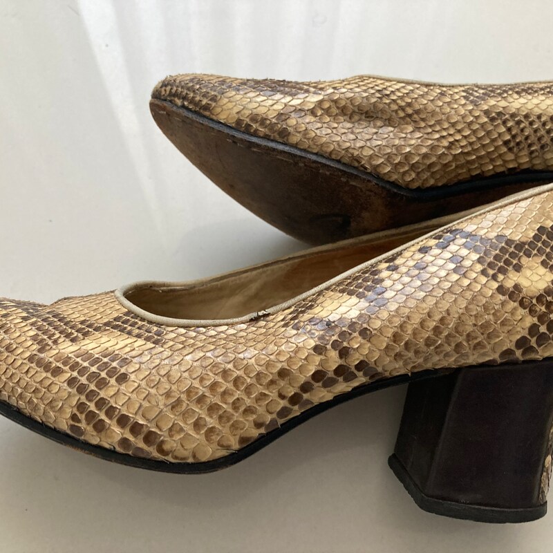 Real Snake Skin - Etsy