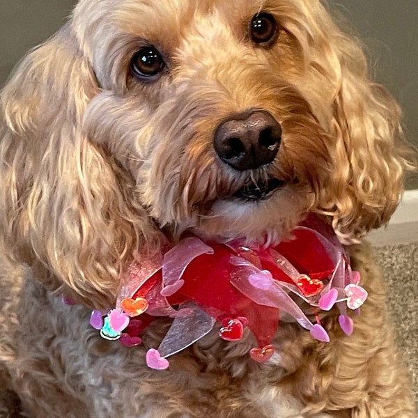 Dog Frilly Collar - Etsy