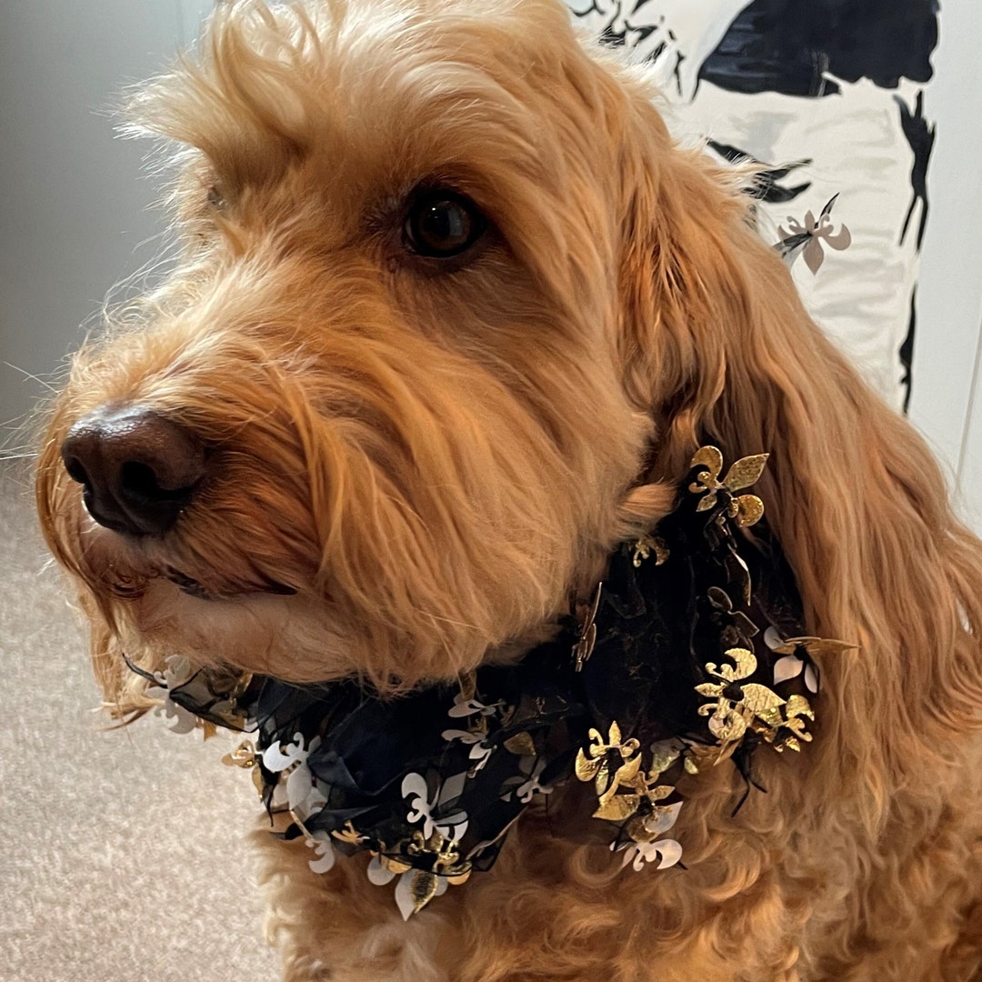 Celebration Dog Frill in Black, Gold and White | Dog Festivities Collar ...