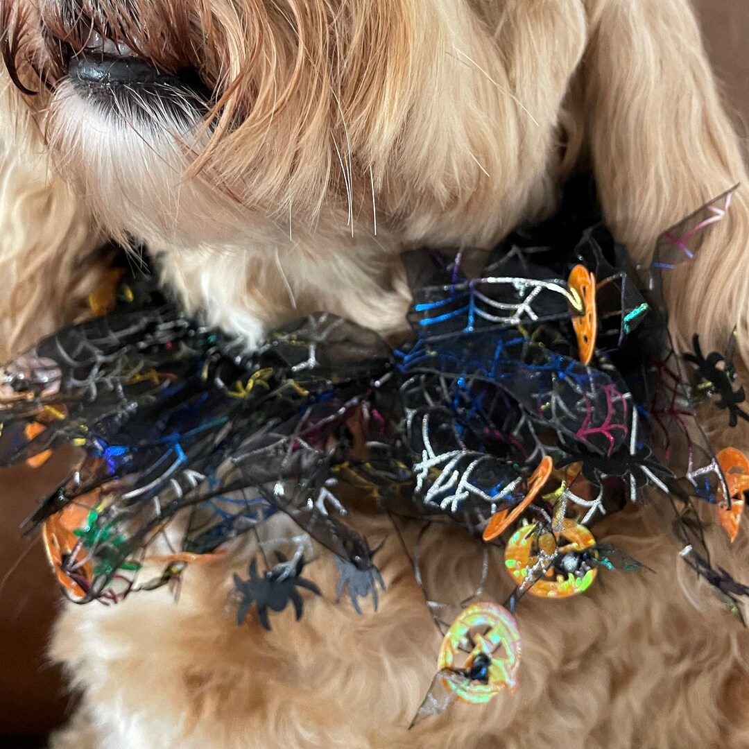 Halloween Dog Frill Collar – Pet Halloween Accessory – Dog Costume Neck ...