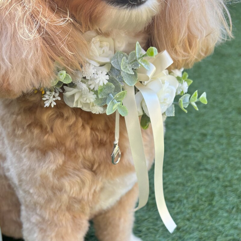 Dog Ring Bearer - Etsy