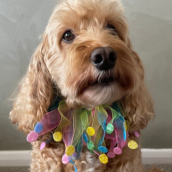 Decorative Dog Frill Collar Dog Festivities Collar Frilly - Etsy