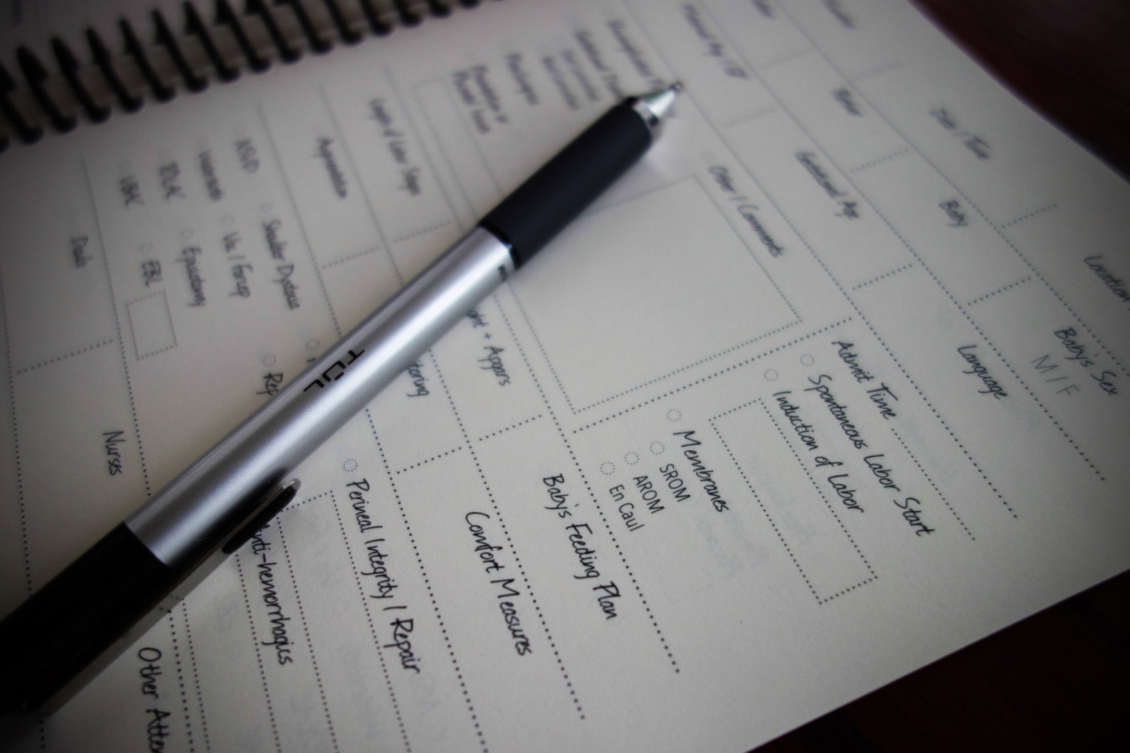 Birth Log - A Keepsake and Statistics Journal for Midwives, Doctors ...