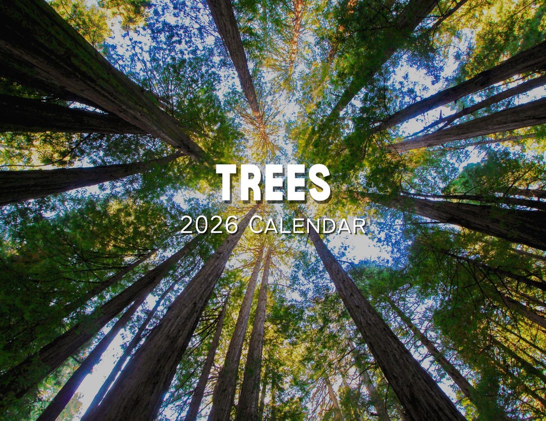 2026 Trees Calendar | Majestic Trees & Forests - Etsy