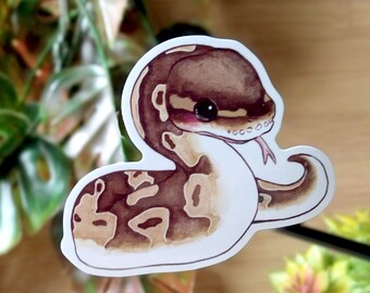 Chibi Cute Ball Python D20 Vinyl Sticker for Phone, Car, Tablet, Laptop ...