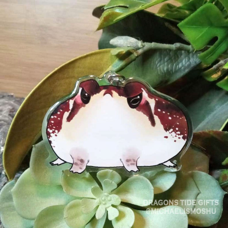 Cute Forest Rain Frog Acrylic Keychain - Etsy