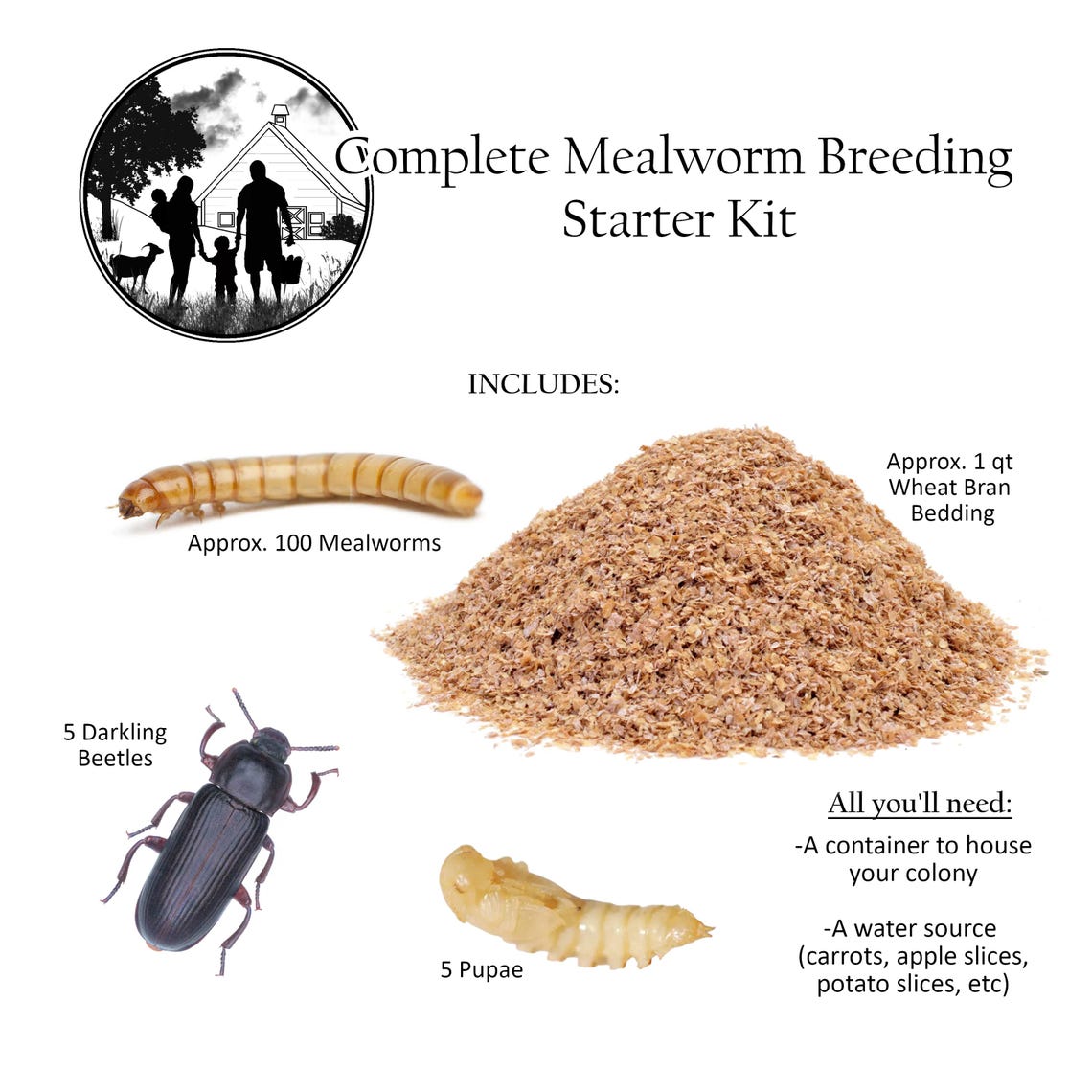 Complete Mealworm Breeding Starter Kit - Etsy
