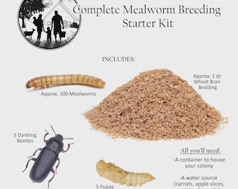6 Tray Mealworm Superworm Breeder Farm, Insect Breeding Kit, Mealworm ...