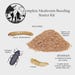 Complete Mealworm Colony Kit - Etsy