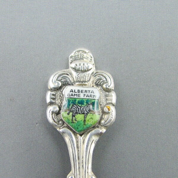 Collectible Spoon - Etsy