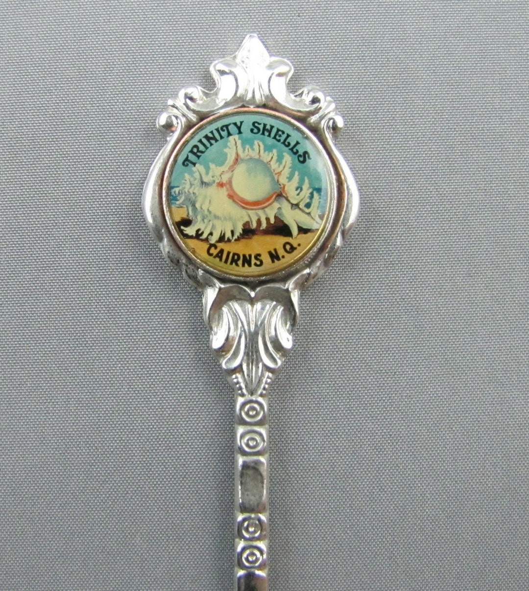 Trinity Shells CAIRNS N Queensland Australia Vintage Fluted - Etsy