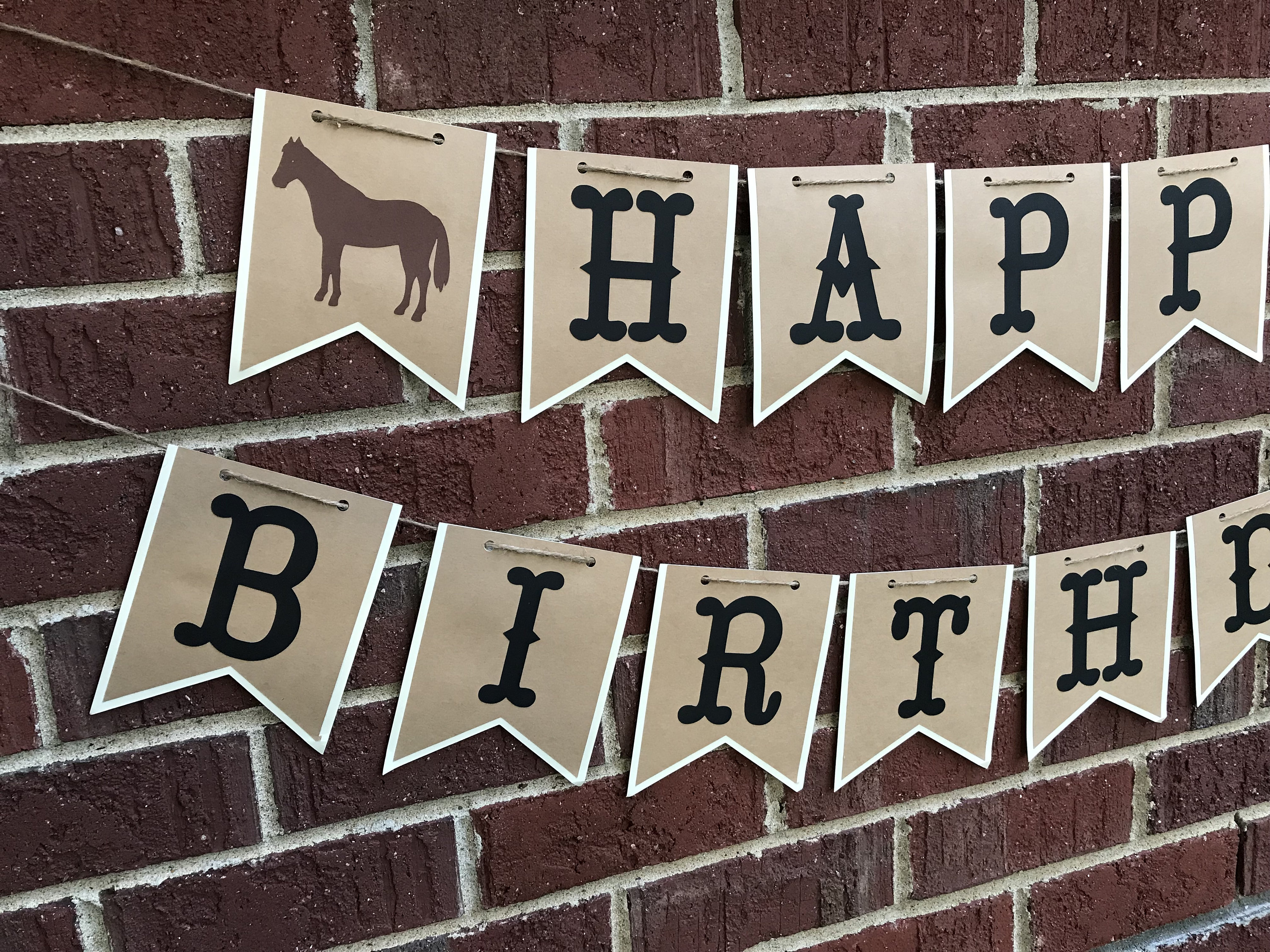 Farmhouse Birthday Banner. Farmhouse Banner. Rustic Birthday - Etsy