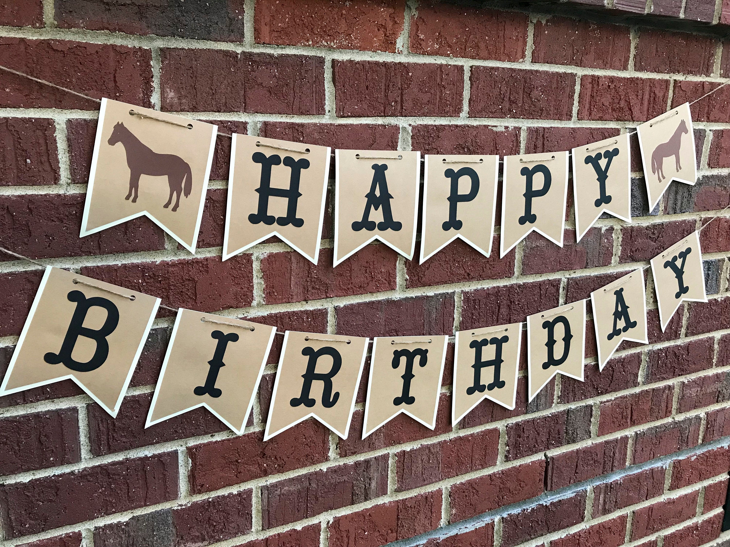 Farmhouse Birthday Banner. Farmhouse Banner. Rustic Birthday - Etsy