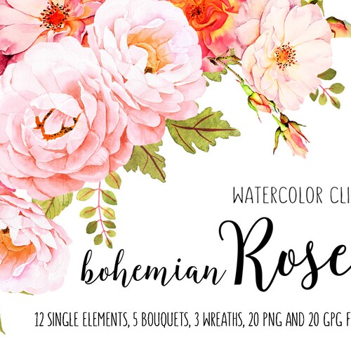 Digital Clipart Watercolor Flower Clipart Peonies Clip Art - Etsy Israel