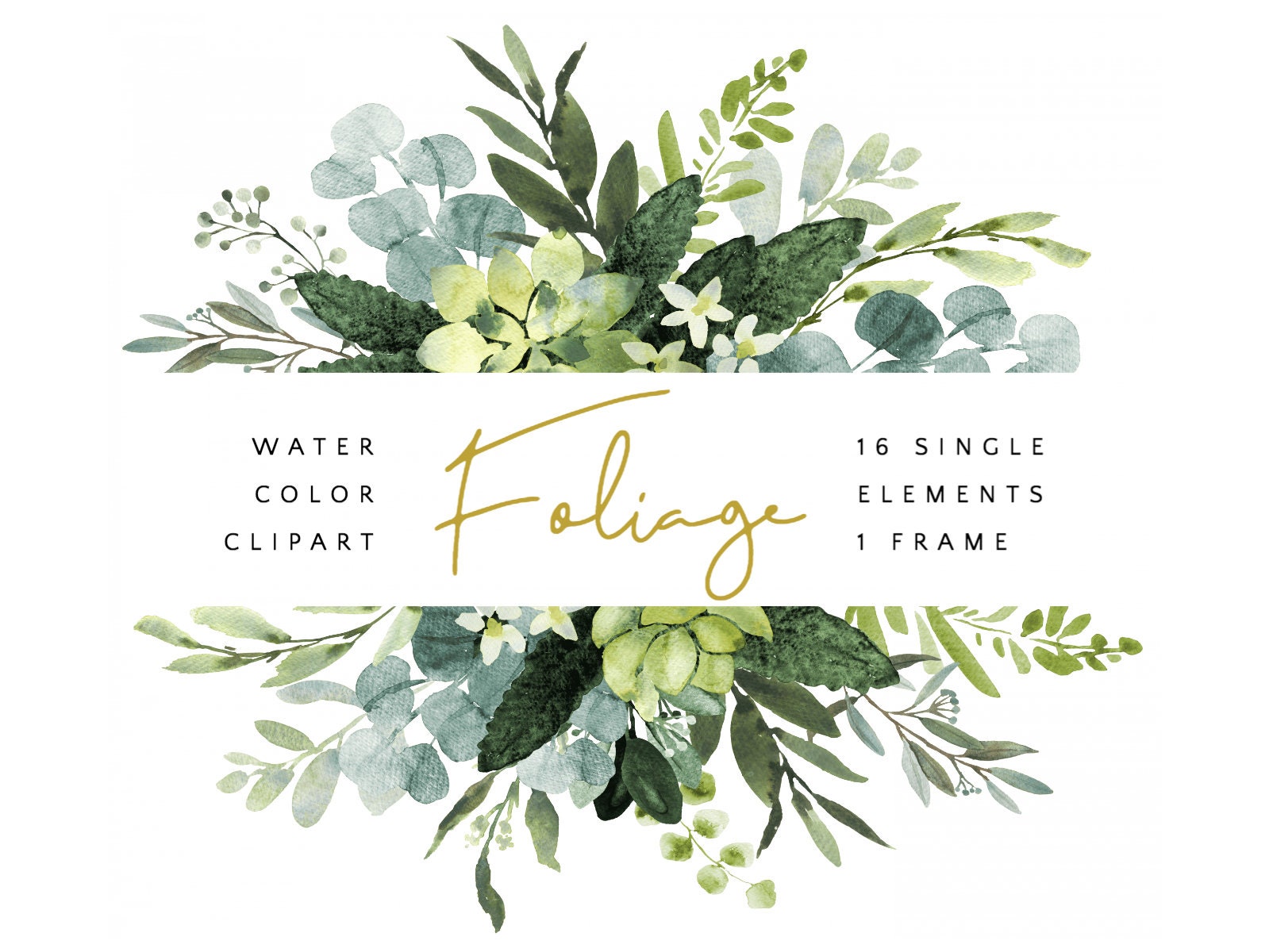 Eucalyptus Clipart. Watercolor Foliage Bundle. Wedding - Etsy