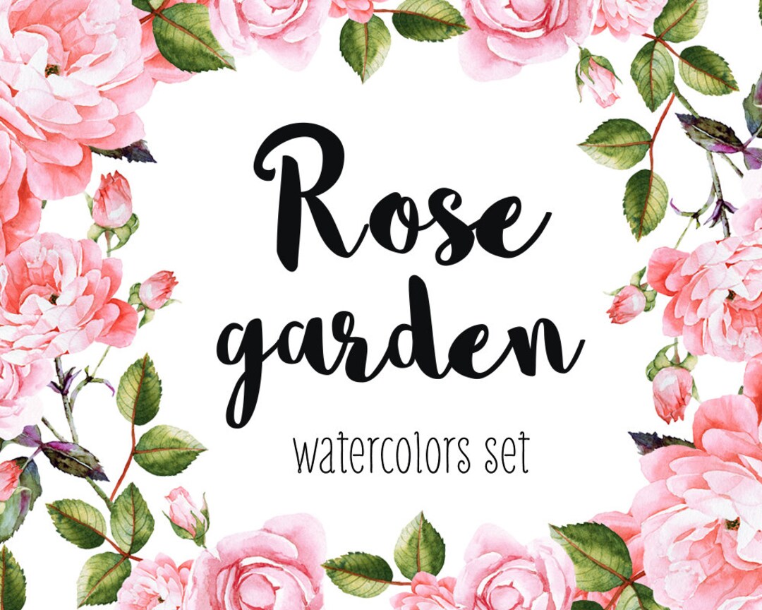 Roses Watercolor Clipart Roses Clipart Floral Clipart Roses - Etsy