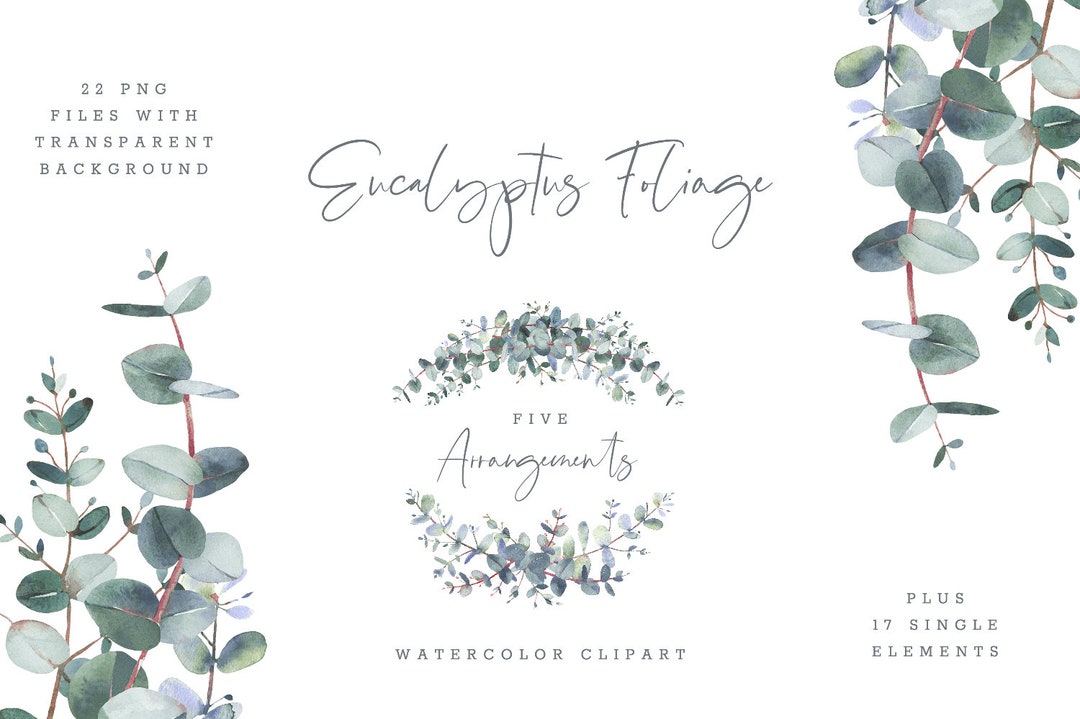Eucalyptus Foliage Watercolor Clipart With Modern Greenery, Eucalyptus ...