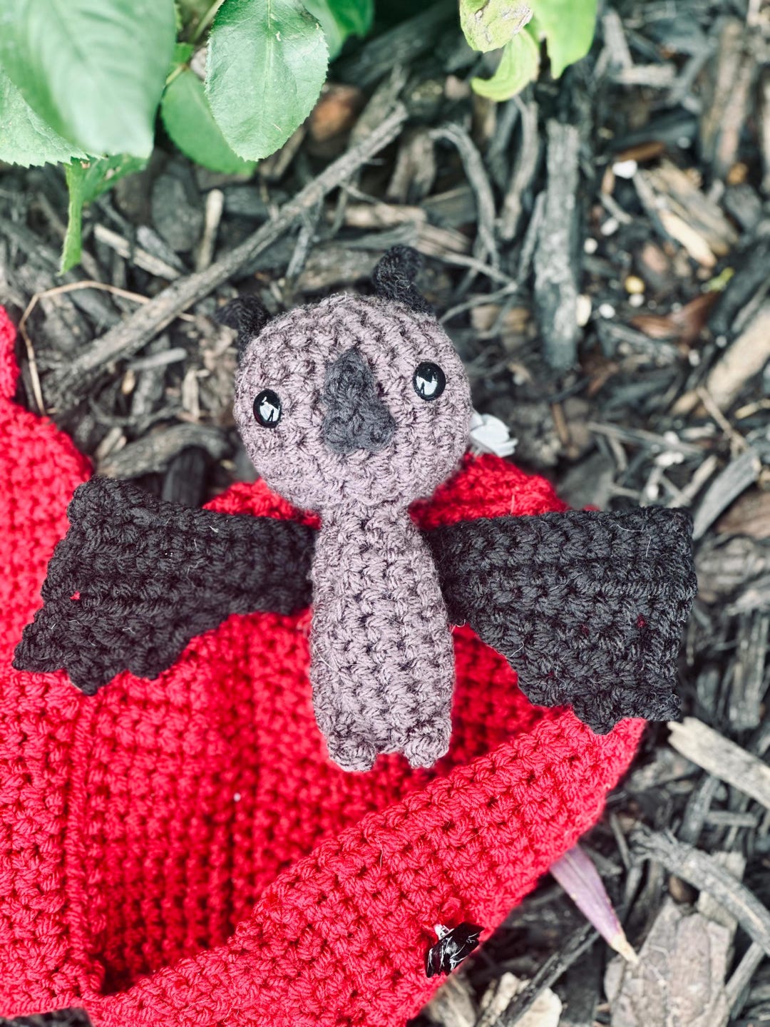 Harold the Bat in His Coffin - Etsy