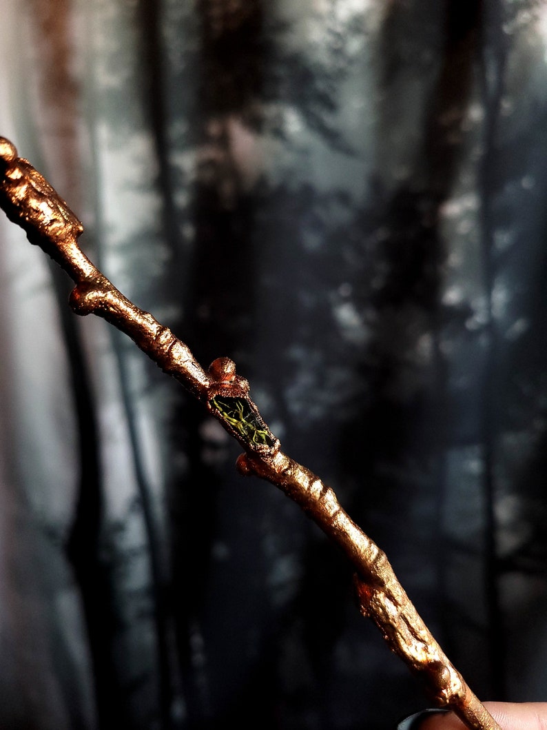 Birch Tree Wand Branch Forest Nature Specimen Witch Wizard Elf - Etsy