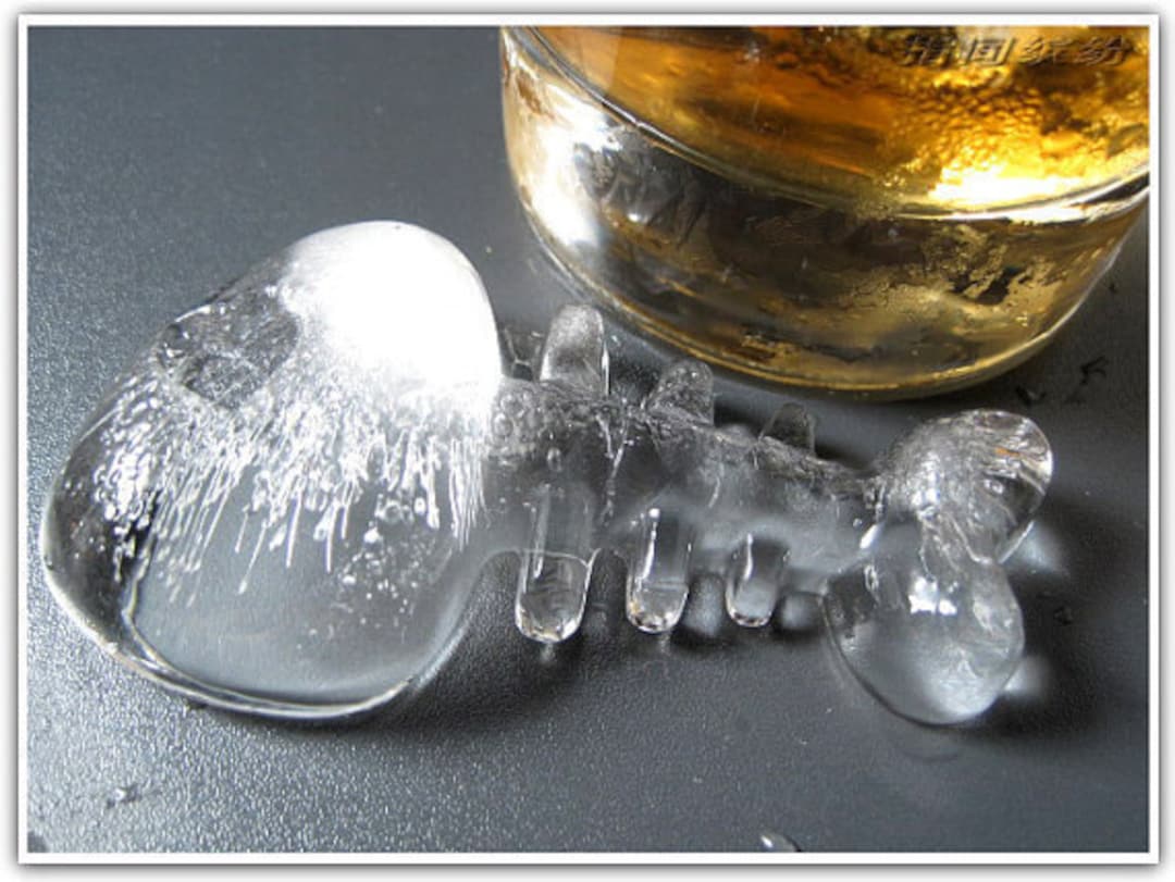 4-fish Bone Ice Mold Ice Tray Flexible Silicone Mold DIY Mold Jewelry ...