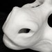 Cut & Carved Raptor Foam Head Base for Costumes, Mascots and Fursuits ...