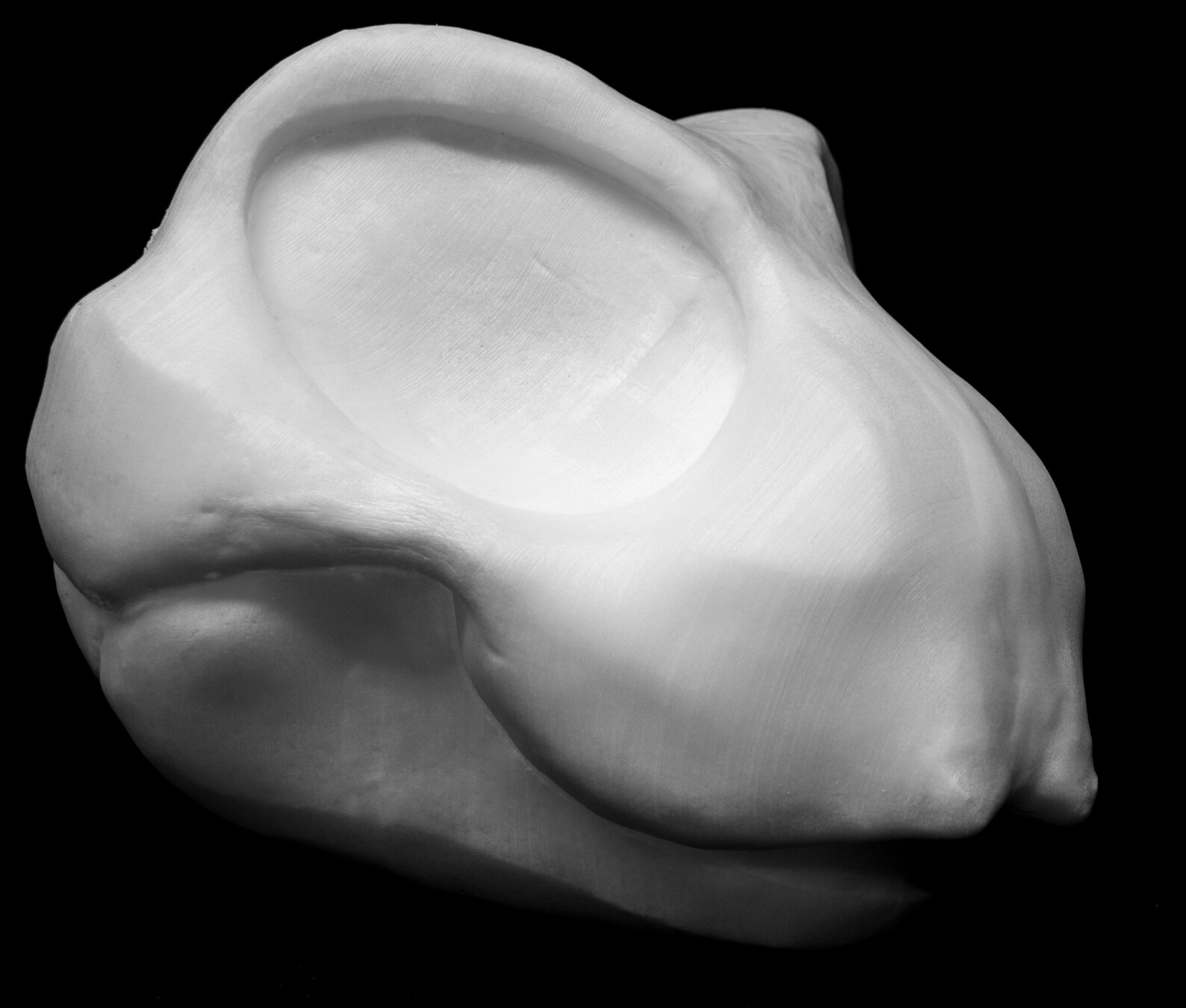 Bee / Insect Foam Head Base for Costumes Mascots and - Etsy UK