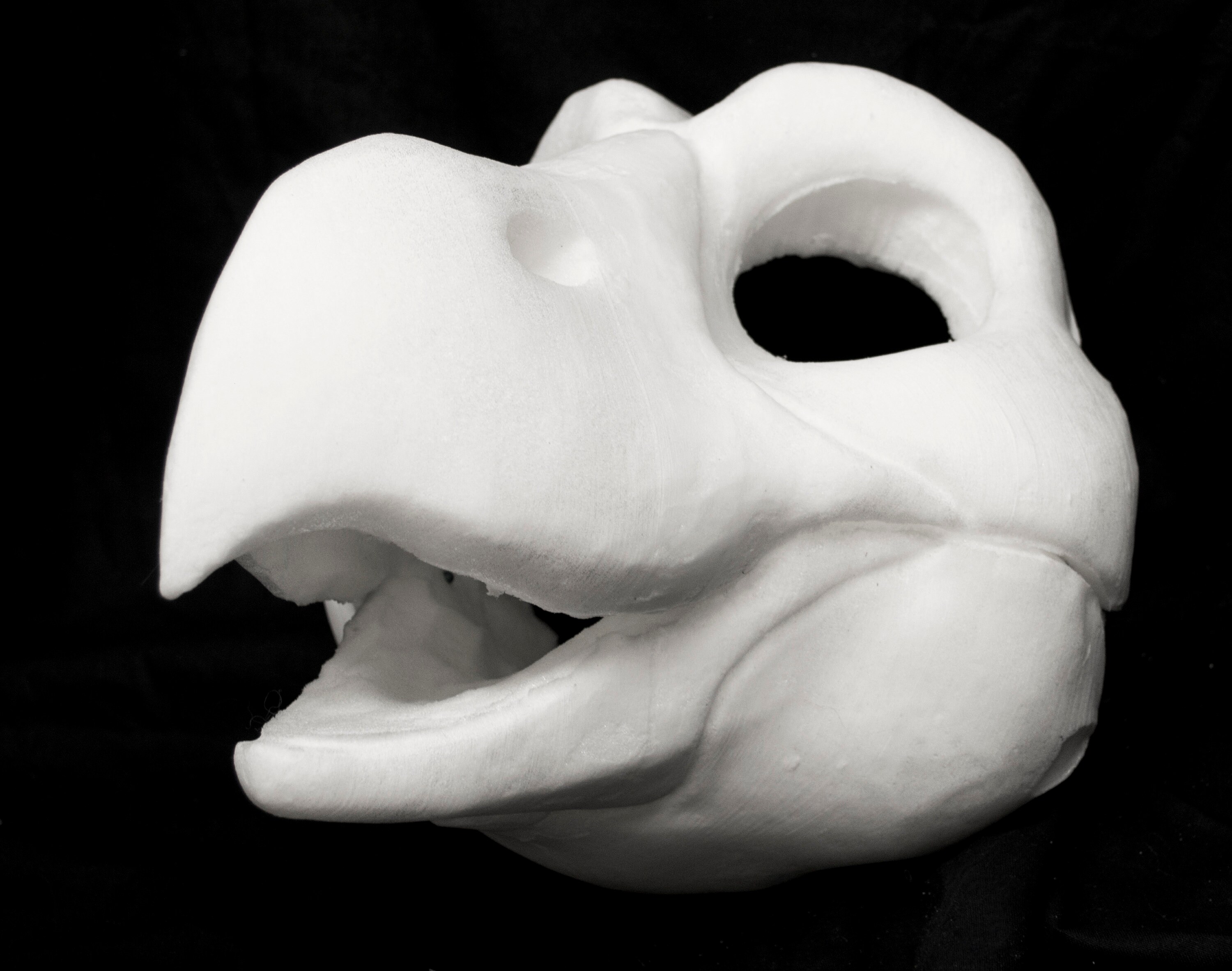 Large Gryphon Bundle Deal: Cut and Carved Head Base, Eyes and Feet ...