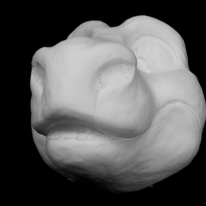 Raptor / Dragon Foam Head Base for Costumes, Mascots and Fursuits. Cut ...