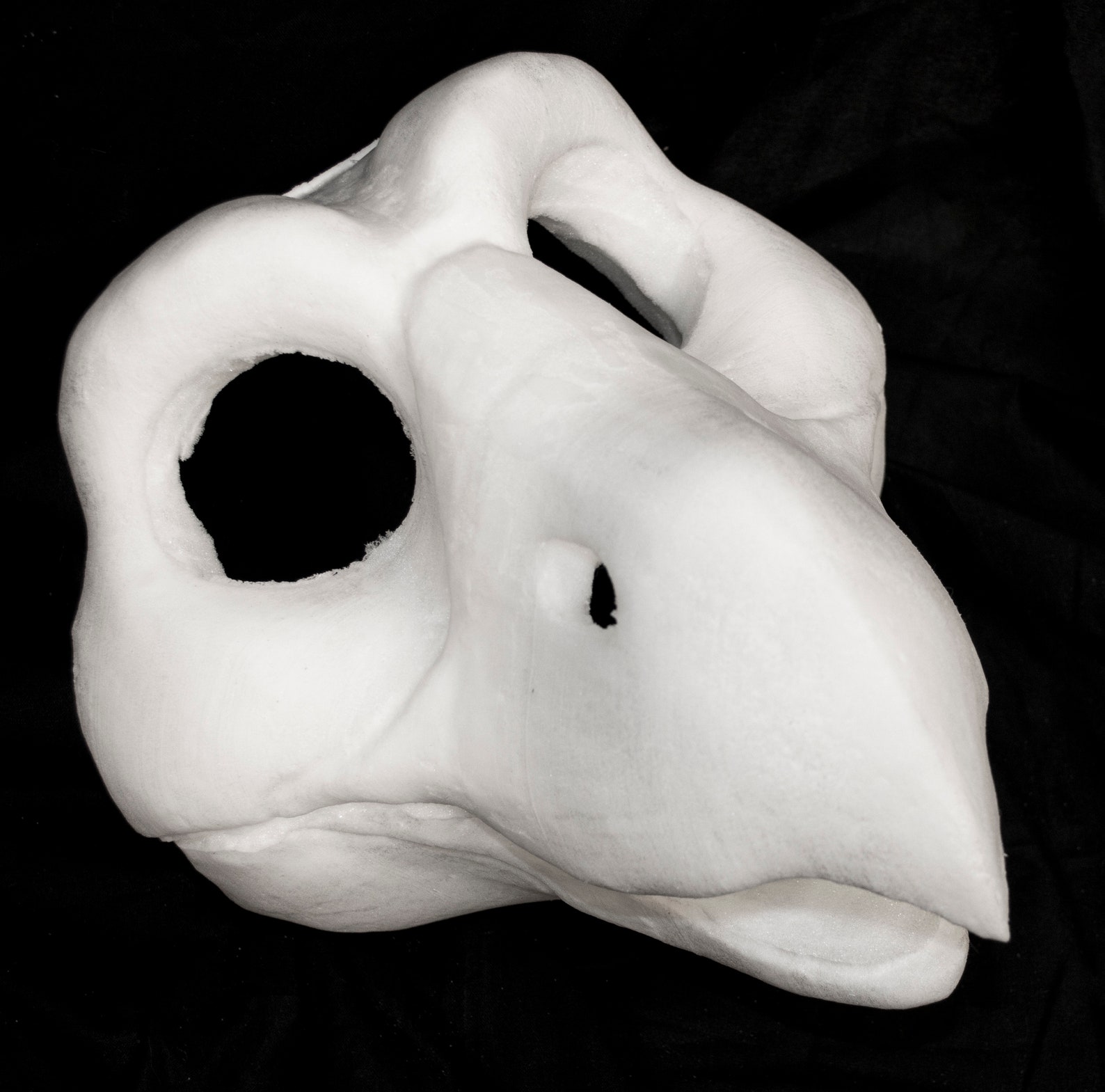 Large Gryphon Bundle Deal: Cut and Carved Head Base, Eyes and Feet ...