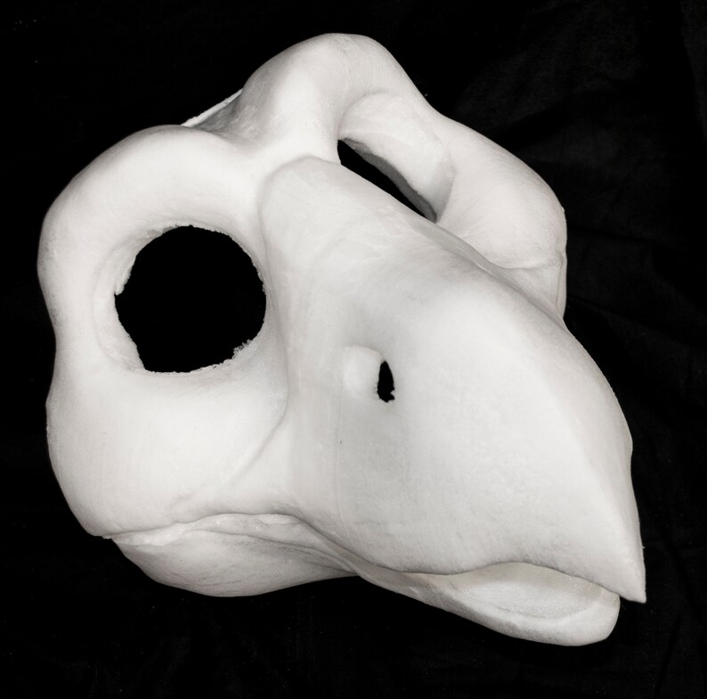 Large Gryphon Bundle Deal: Cut and Carved Head Base Eyes and | Etsy UK