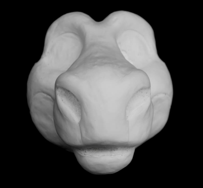 Raptor / Dragon Foam Head Base for Costumes, Mascots and Fursuits. Cut ...