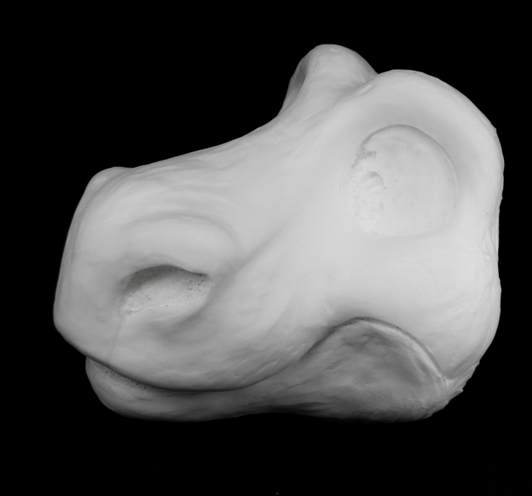 Raptor / Dragon Foam Head Base for Costumes, Mascots and Fursuits. Cut ...