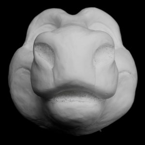 Raptor / Dragon Foam Head Base for Costumes, Mascots and Fursuits. Cut ...